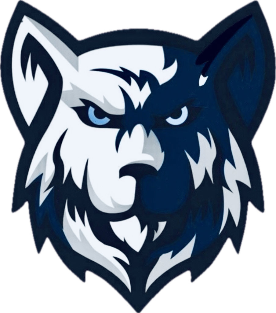 Angola Players – Make Your Basketball Dreams Happen